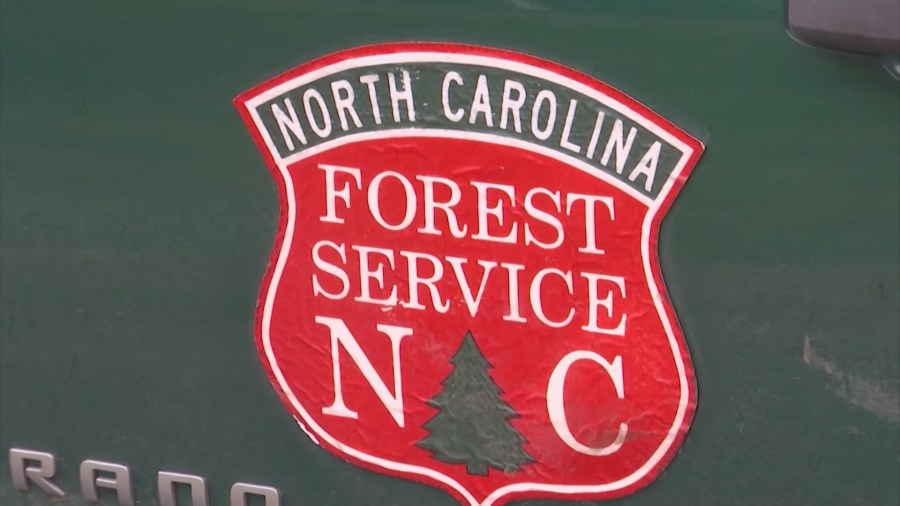 Amid federal layoffs, North Carolina Forest Service worries about ...