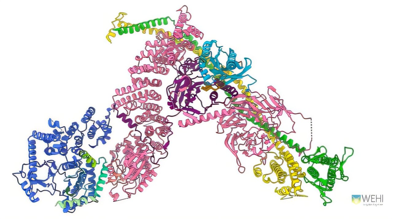 Cellular clean-up: Solving the mystery of how cells initiate their ...