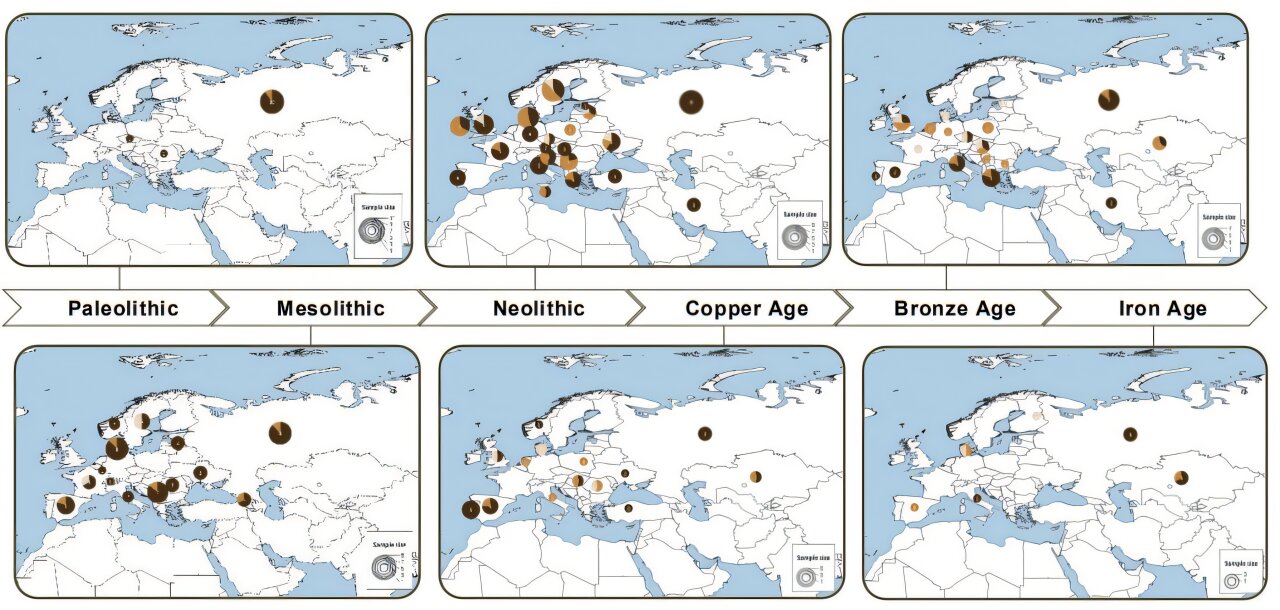 The evolving pigment palette of European skin, eyes and hair as seen ...