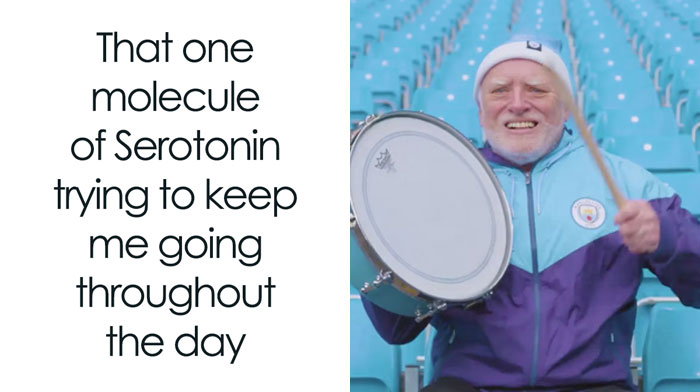 26 Random Memes That Might Help Your Brain Pump Out Some Dopamine