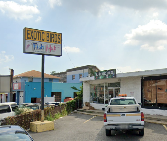 Employee shot in face with crossbow at exotic pet shop in NJ