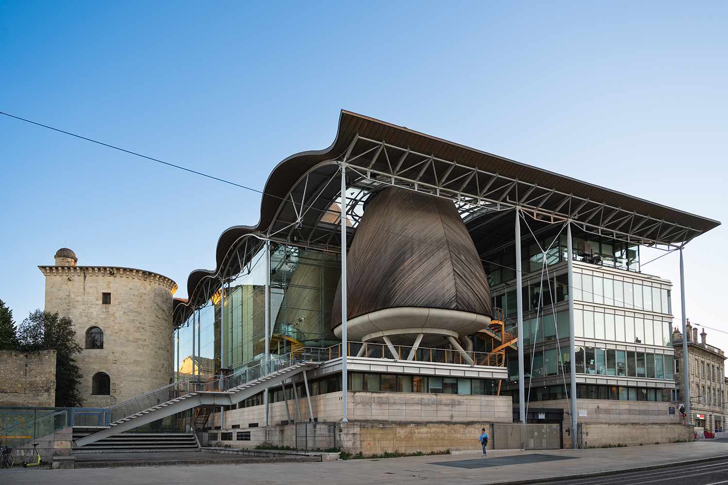 Woman Who Lost All 4 Limbs After Contracting Infection Following ...