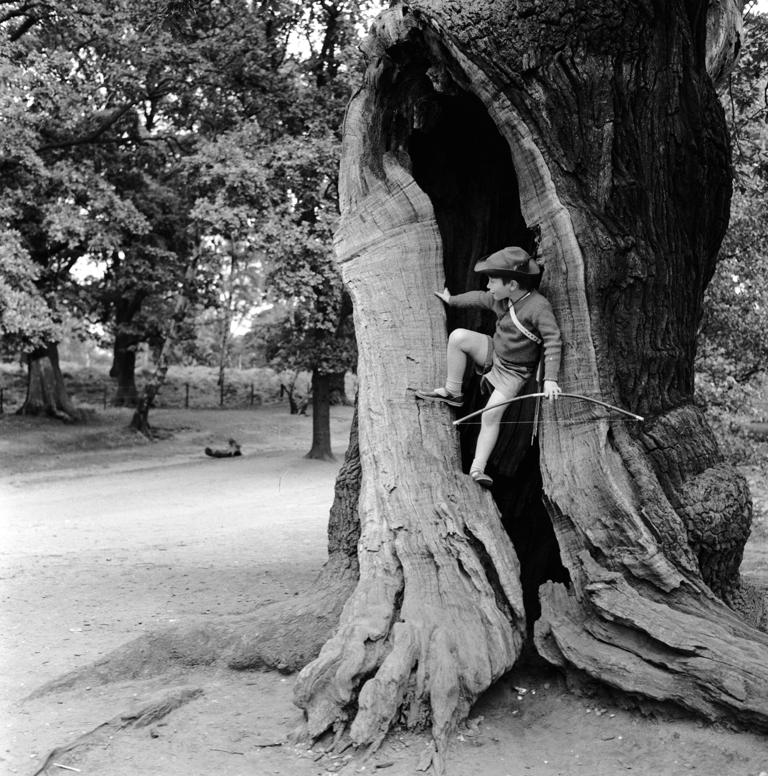 Folklore fun: Delving into Sherwood Forest visits of the past