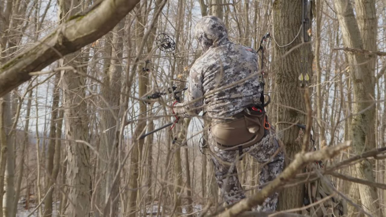 How to Shoot Perfectly from a Tree Stand Without Overthinking It.