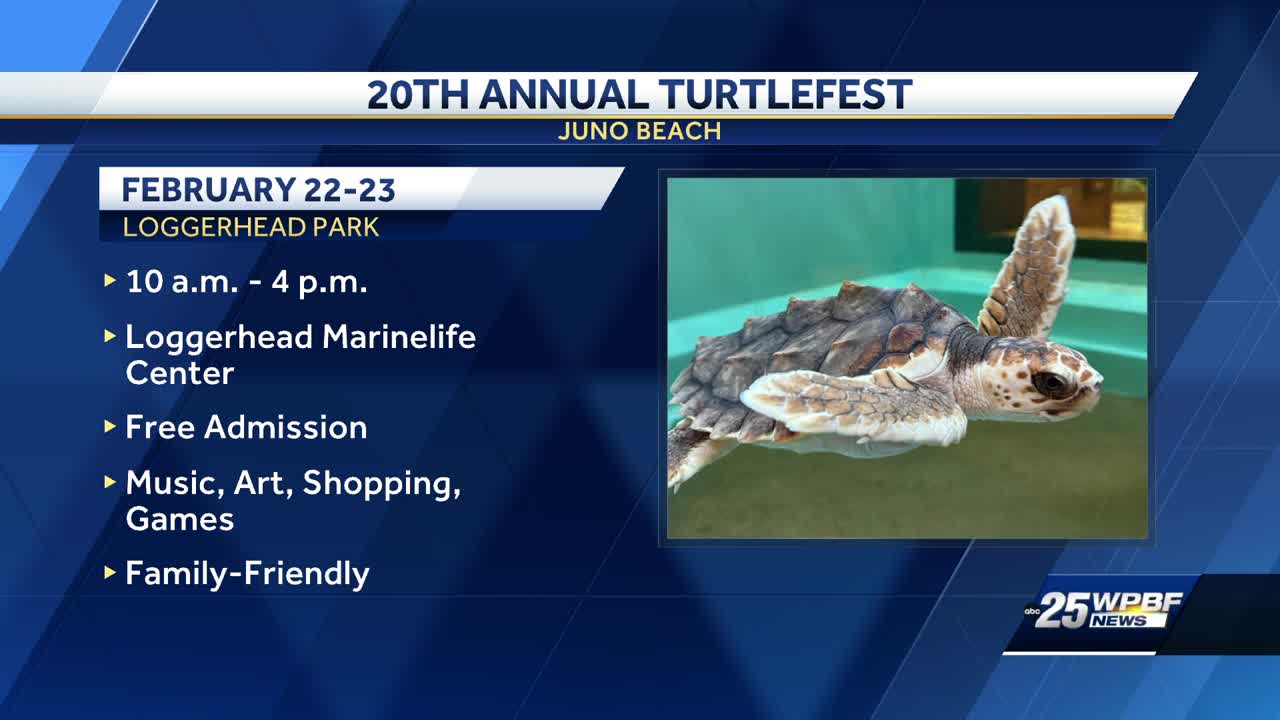 Turtle Fest coming back to Loggerhead Marinelife Center in Juno Beach