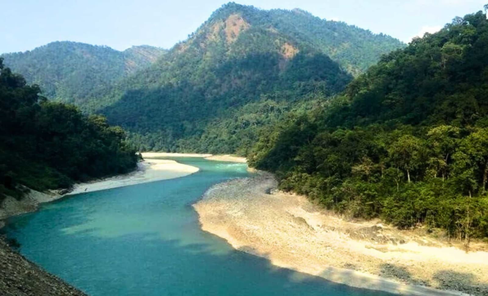 After 85 Years, a Fish Thought to Be Extinct Has Been Rediscovered in ...