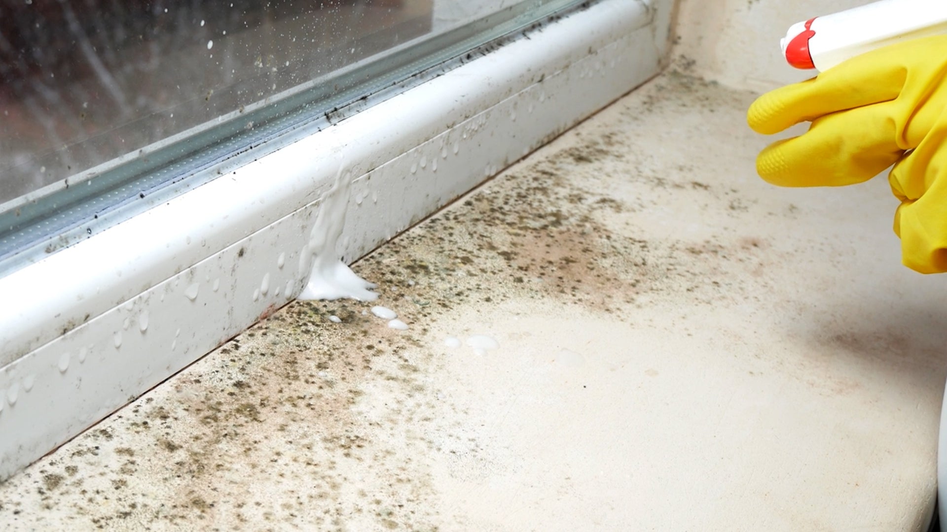 Stop spring mold before it starts