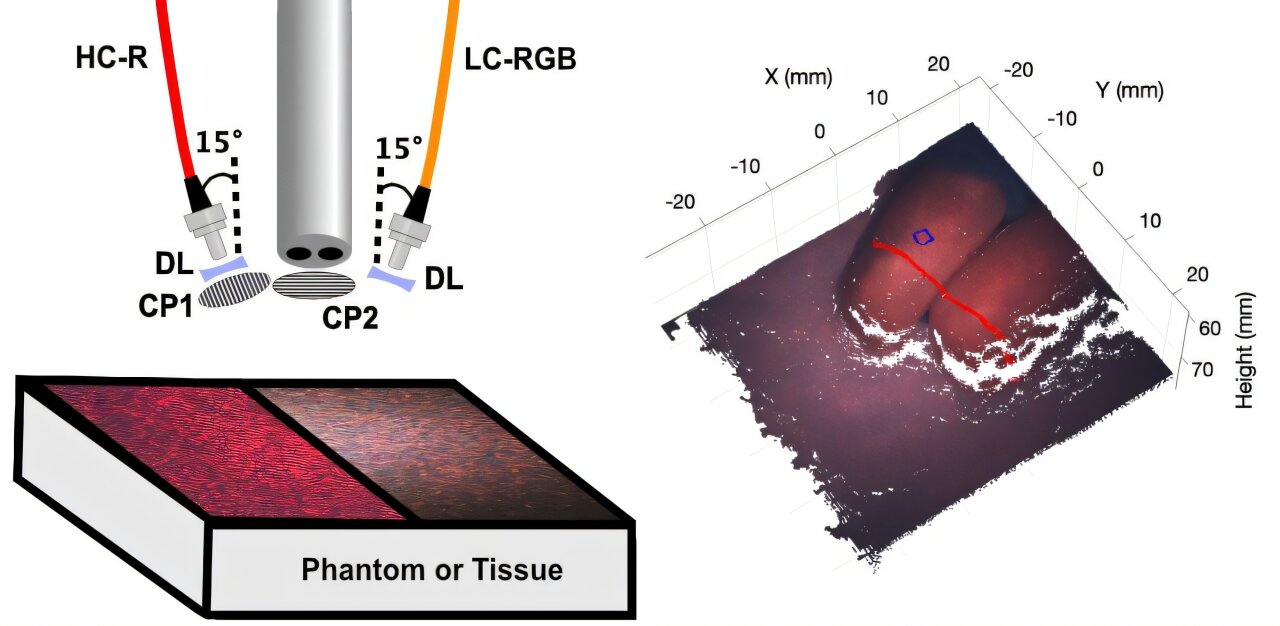 New laparoscopic imaging technique accurately maps biological tissue ...