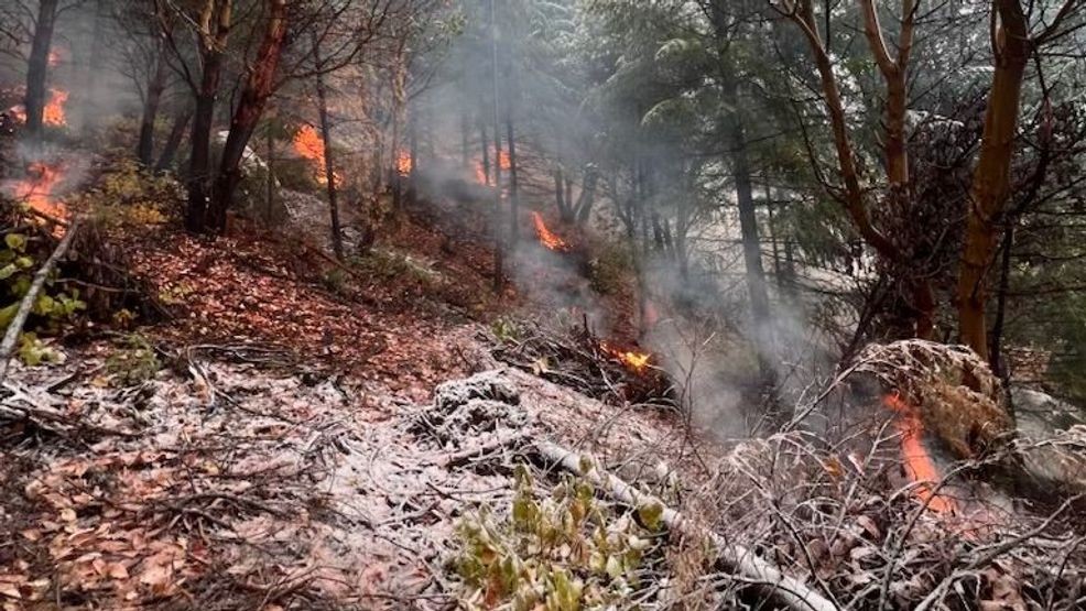 BLM begins pile-burning in West Redding to reduce wildfire risk