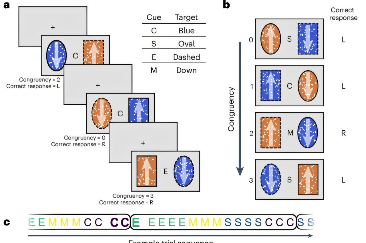 Neural network model can improve understanding of human attention