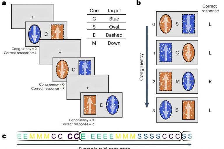 Neural network model can improve understanding of human attention