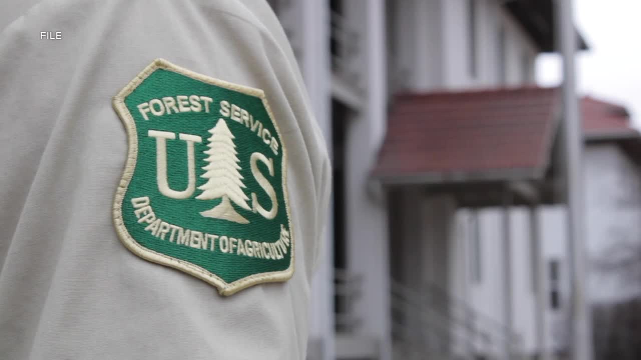 USFS Layoff Local Impact