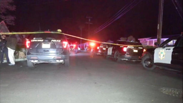 The Truth About Cortisol, the Hormone That Health Influencers Like to ...