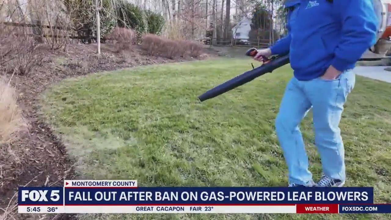 Montgomery County bans gas-powered leaf blowers
