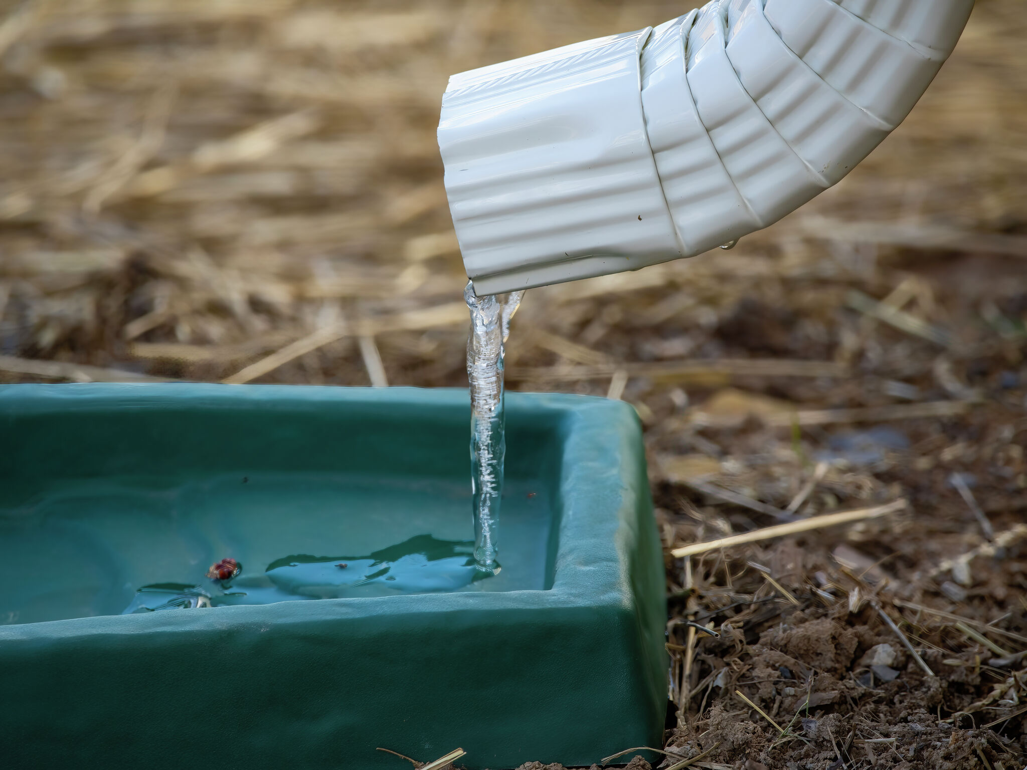 Extreme cold watch issued for Southeast Texas as deep freeze nears