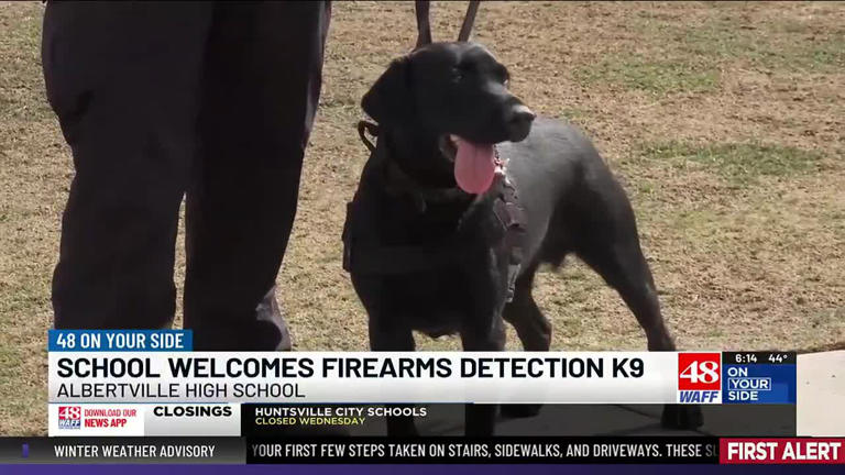 DOGE investigating NASA as federal agencies prepare for spending cuts ...