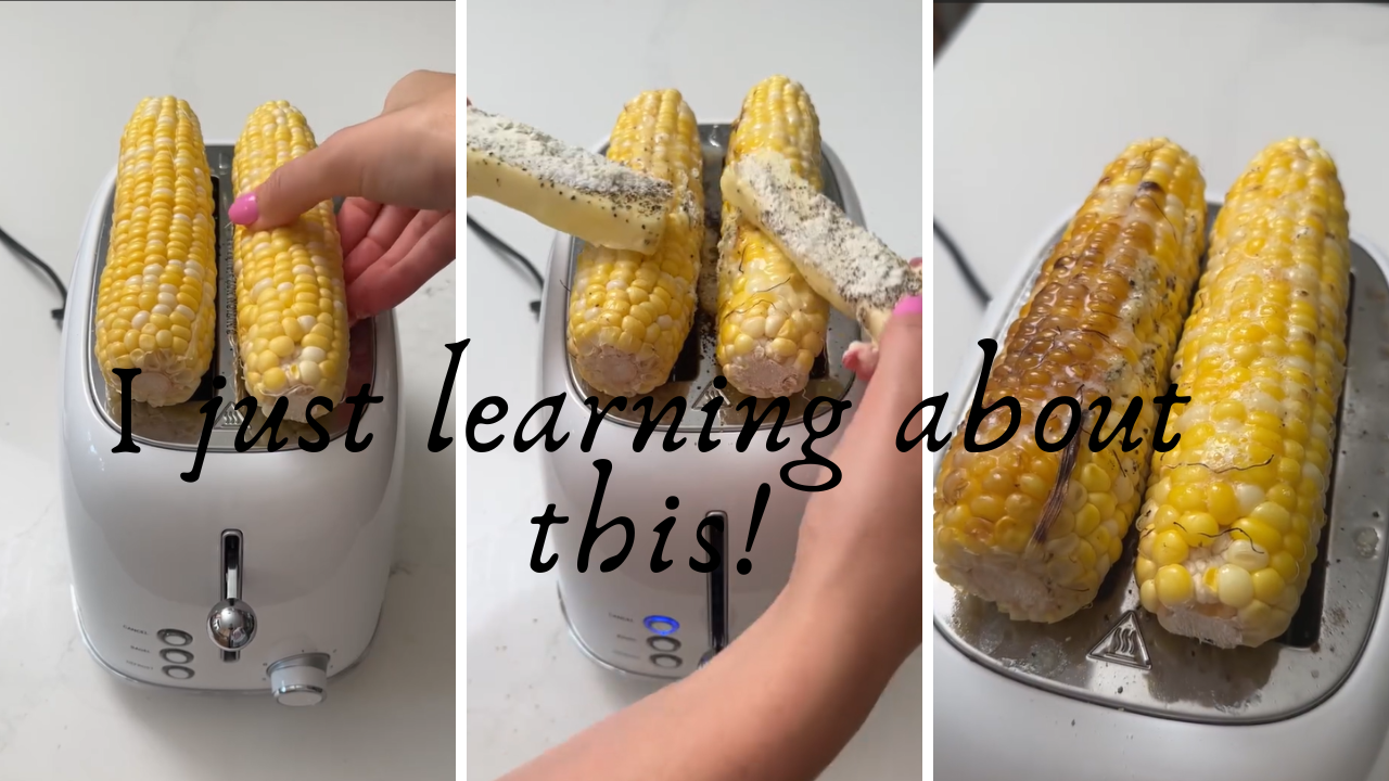 Kate_Heintzelman - MSN