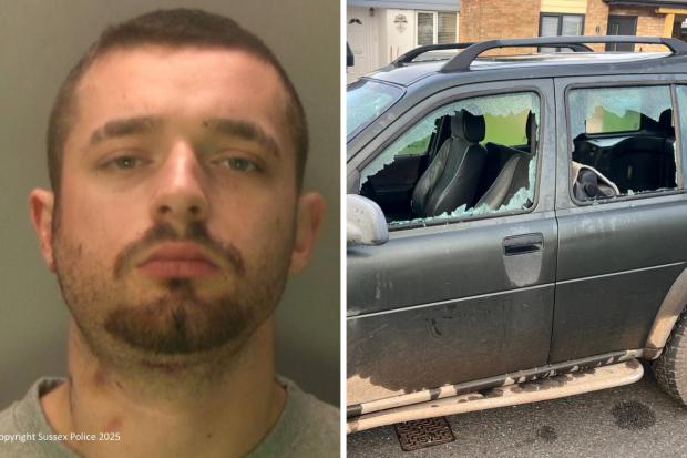 Man smashed car windows and kicked police dog in drunken spree