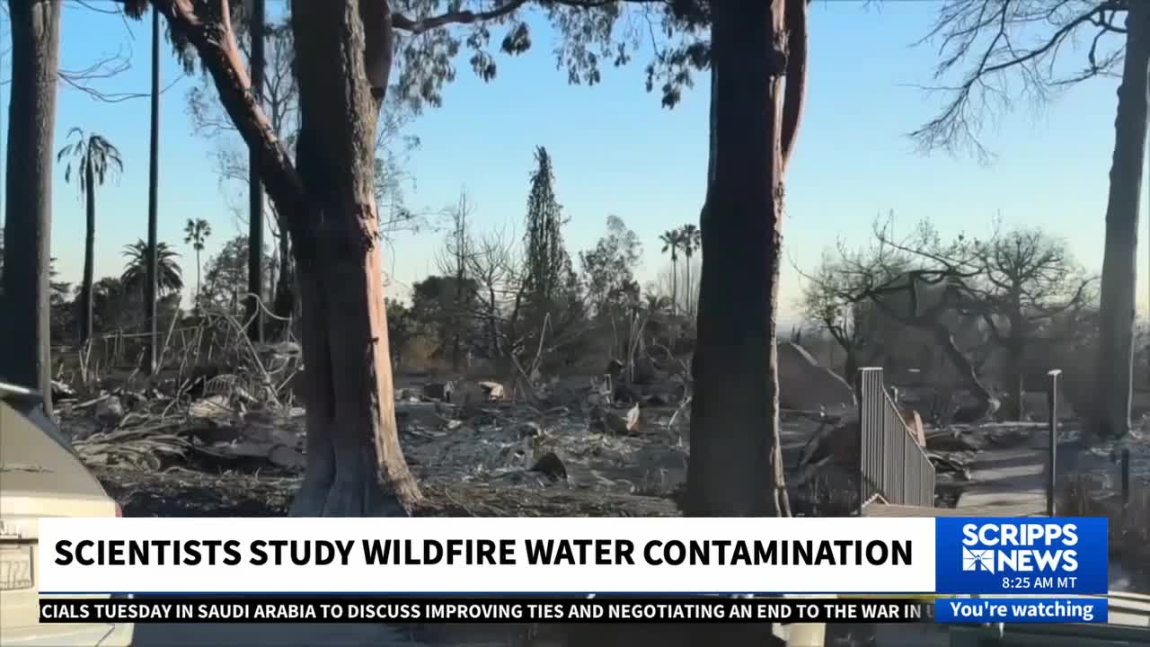 Scientists look at water contamination from wildfire runoff in California