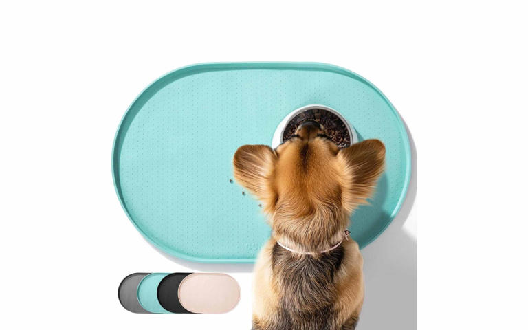 Best pet feeding mats for tidy and hygienic mealtimes