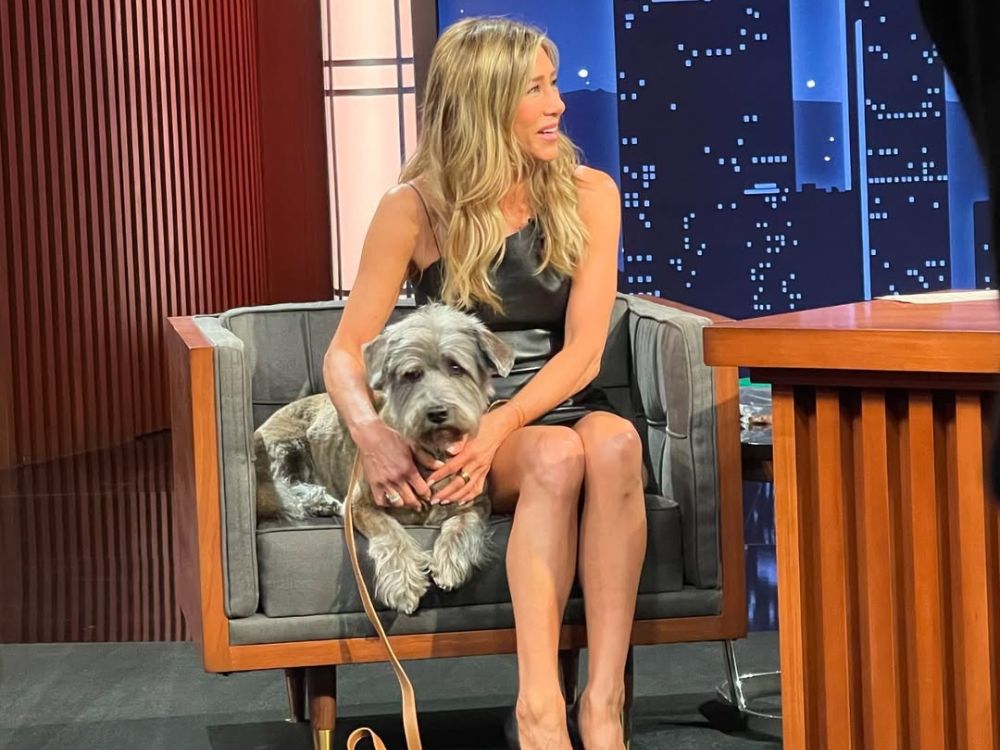 Jennifer Aniston lançou um livro sobre pets, conheça!