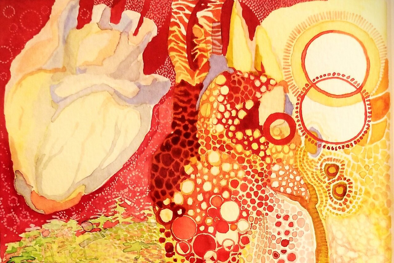 Sex differences in heart cells may influence disease outcomes