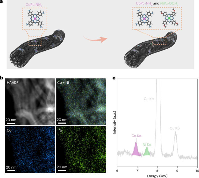 Dual-site catalyst transforms CO₂ into renewable methanol