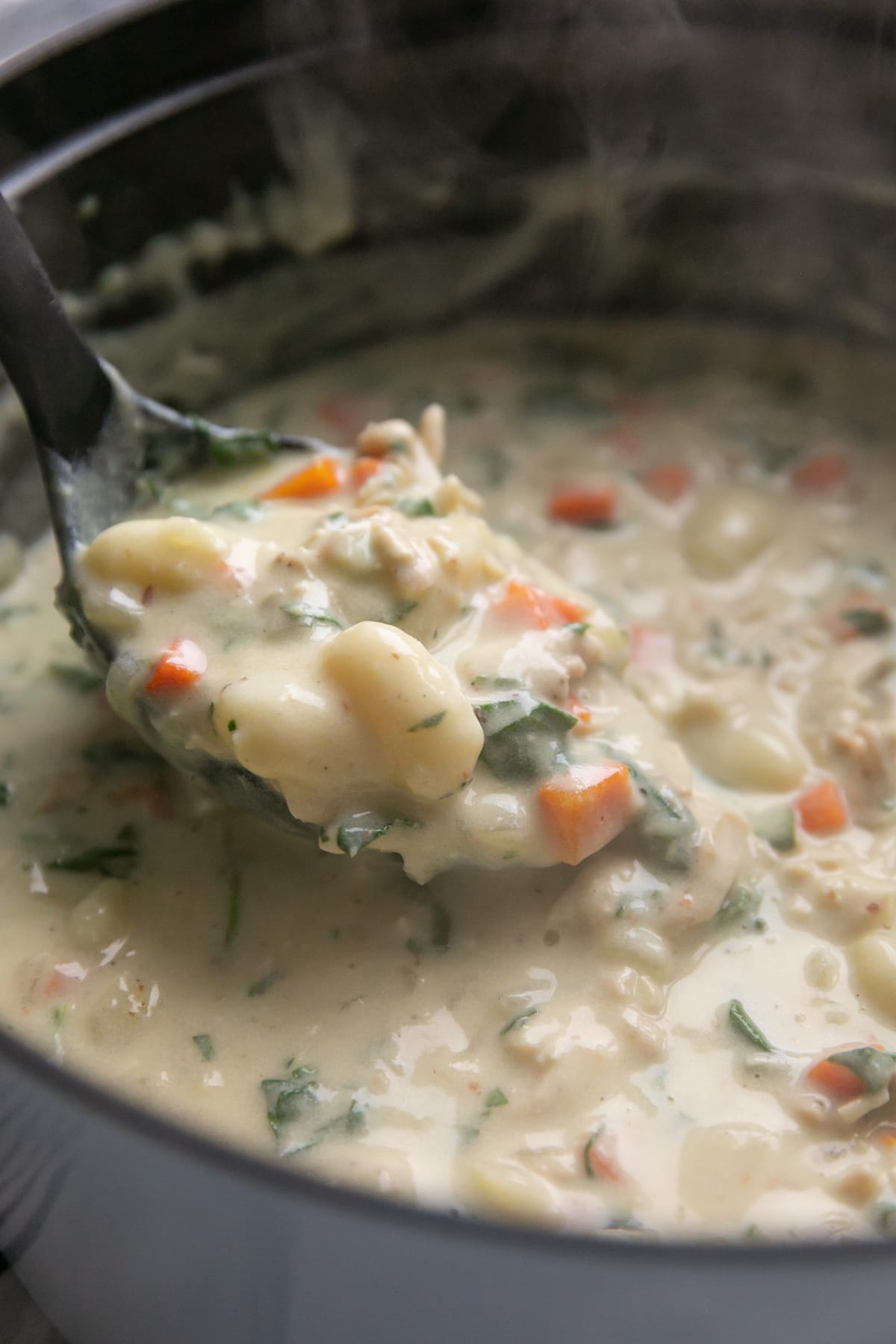 20 Cozy Chicken Soup Recipes That Feel Like a Hug in a Bowl