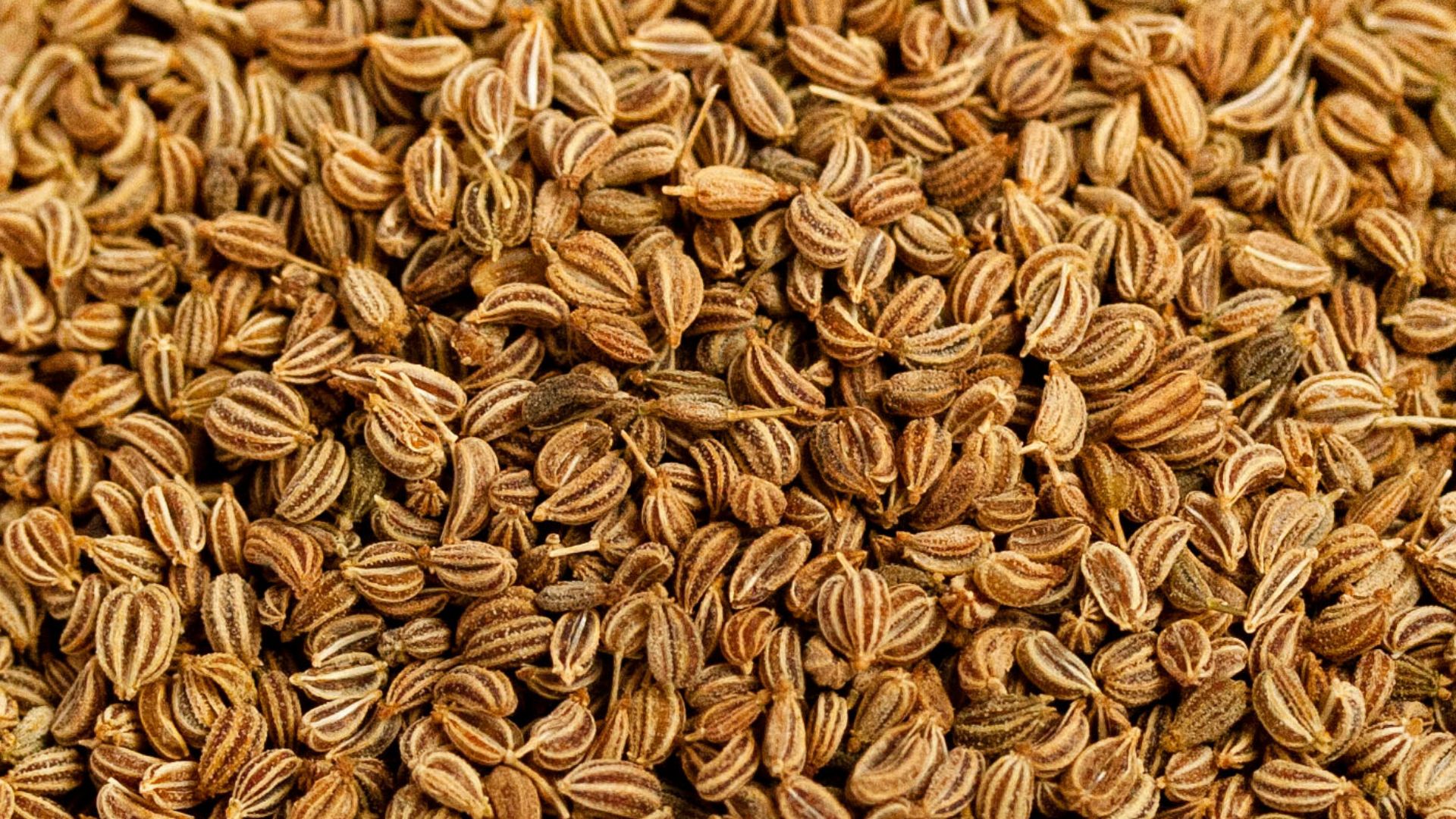 10 Spices You’ve Never Heard Of & 10 Everyday Ones We Love