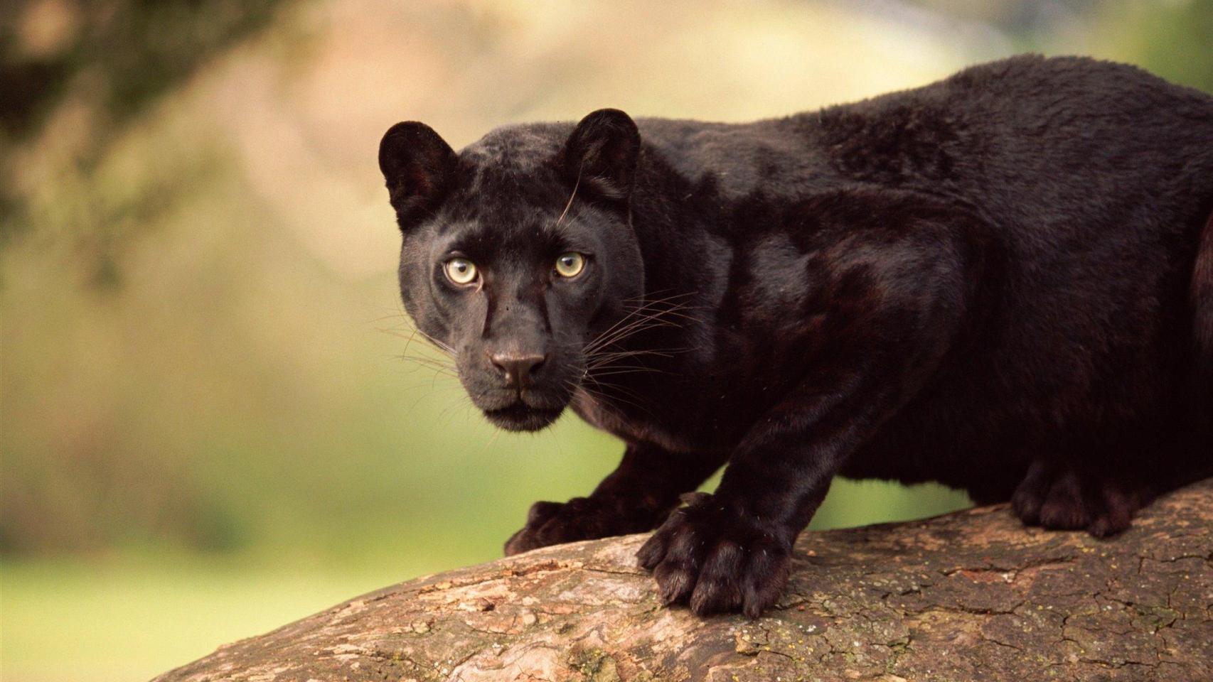 Falsa alarma en un pueblo de Toledo donde supuestamente se había ...