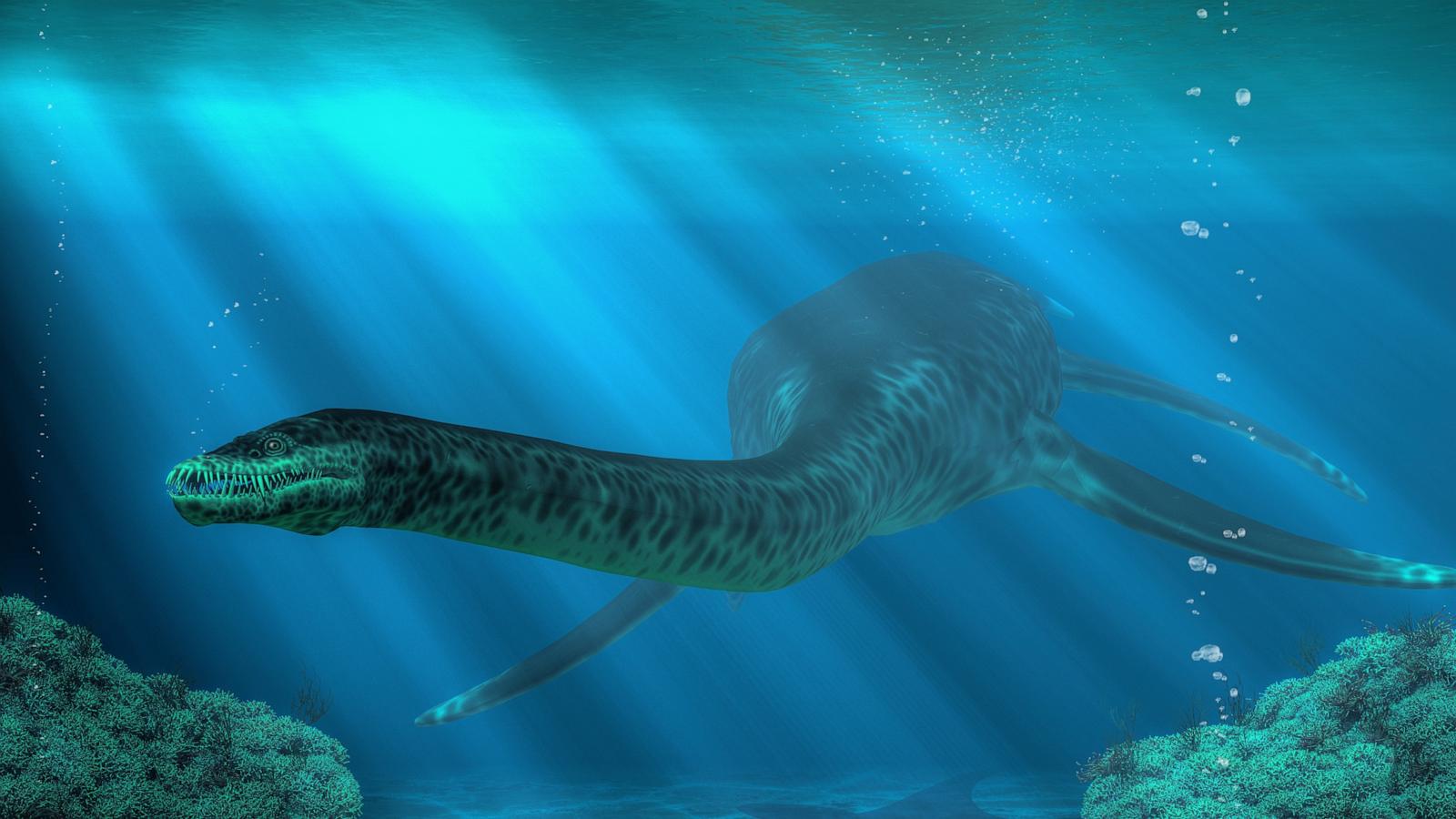 'Exceptionally rare' fossil of iconic species found with soft tissue ...