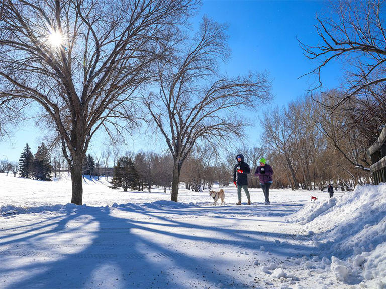 'Welcome change': A look at why Calgary will see a near 40-degree ...