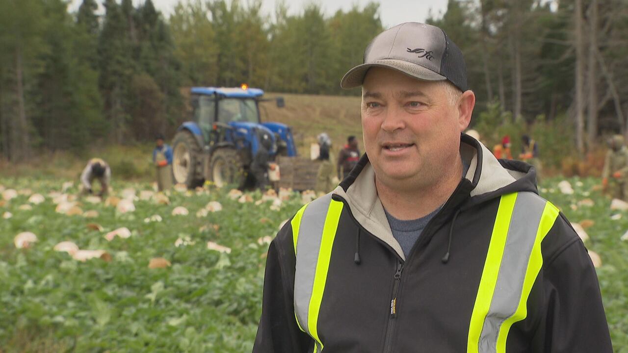 Land & Sea: One step ahead of nature