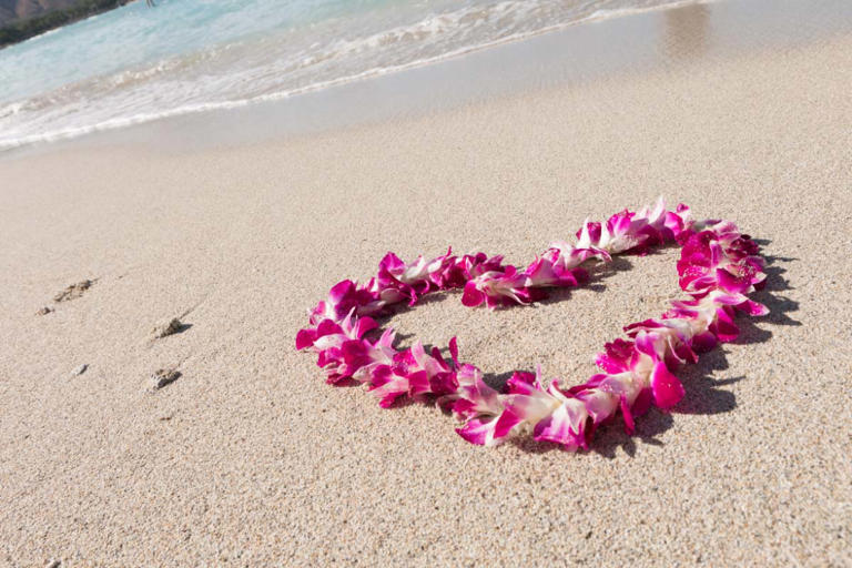 50 Fun Facts about Hawaii That Might Surprise You