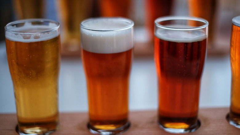 Ale Vs Lager: What Makes Them Different?