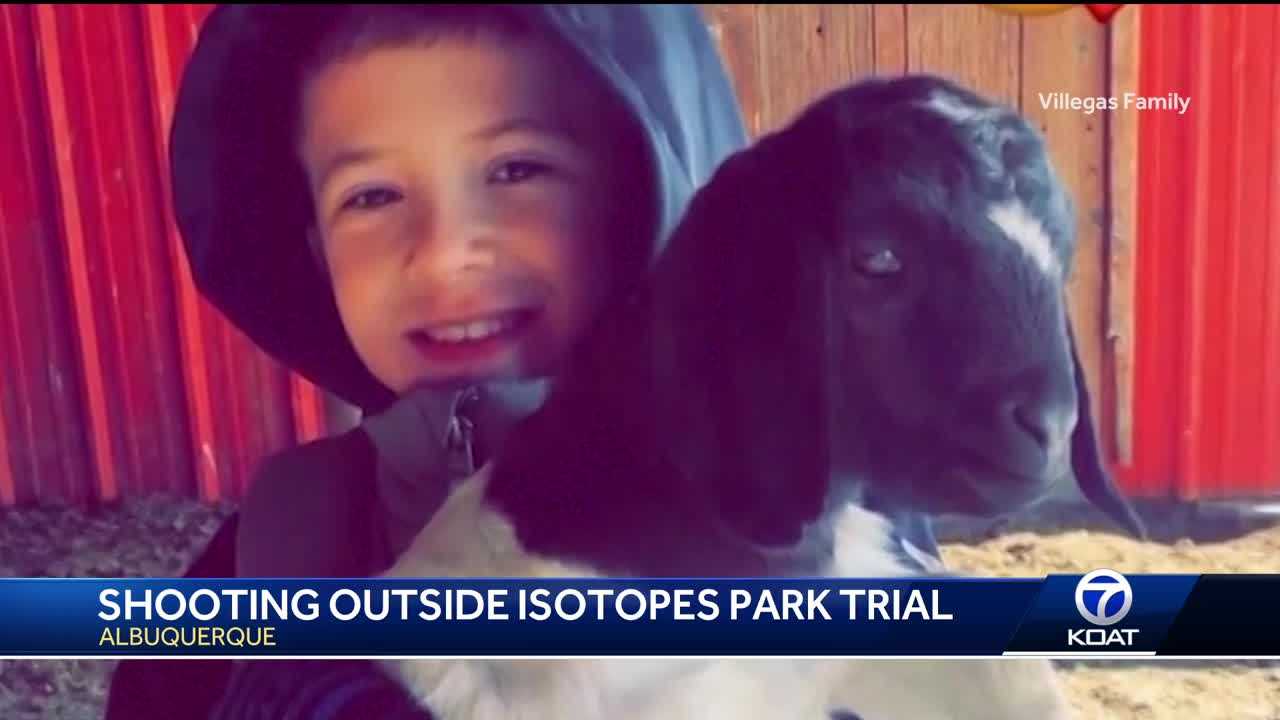 Family of 11-year-old boy killed after Isotopes game testify in court