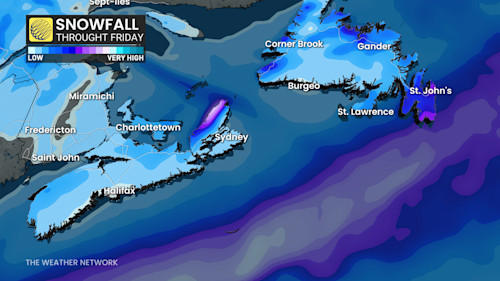 Storm track means Newfoundland will get a snowy blast or will get off easy
