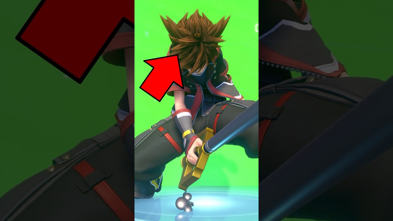 A Hidden Truth About Sora Finally Revealed