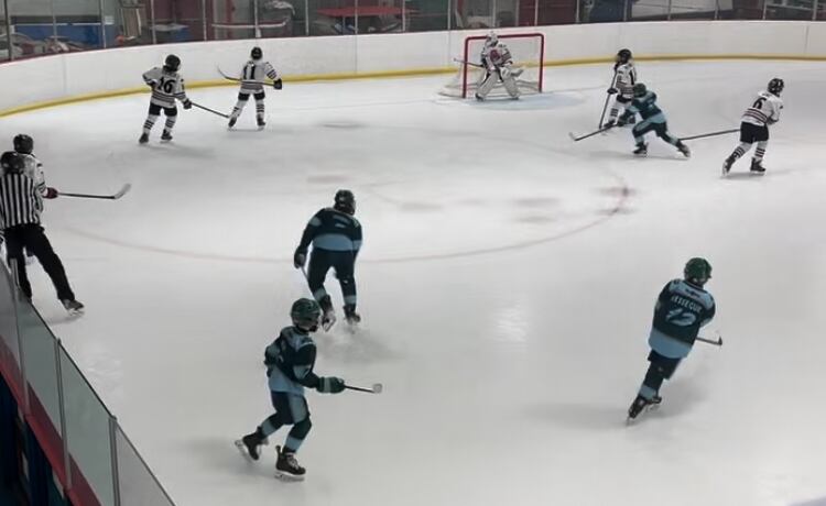 Owner of Alpharetta ice rink submits plans to turn rink into pickleball ...