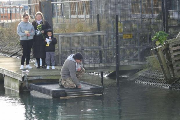 Dozens attend funeral for beloved swan killed in marina car crash