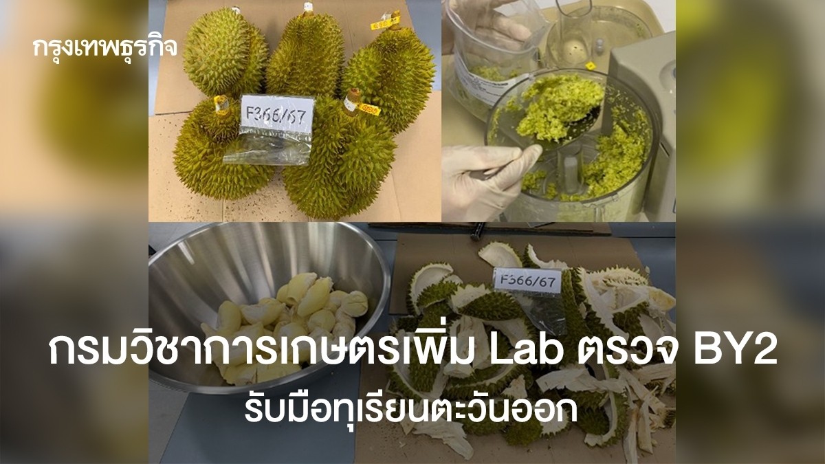 กรมวิชาการเกษตร เพิ่ม Lab ตรวจ BY2 รับมือทุเรียนตะวันออก