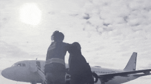 White House Shares 'ASMR' Video Showing Deportees in Chains During ...