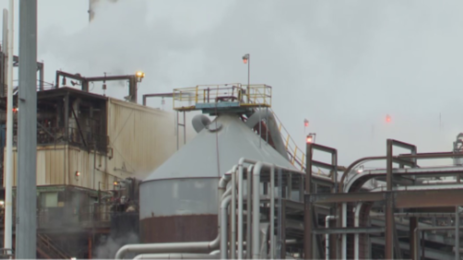 Natchitoches Parish job fair helps workers hit by paper mill closure