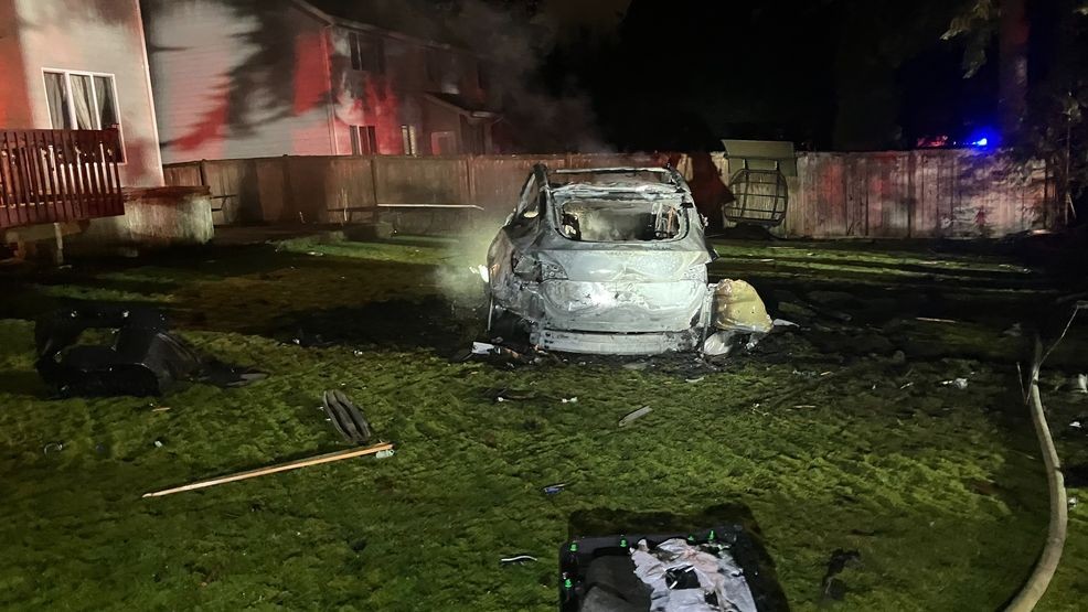 Tesla driver killed in 100 mph crash in Pierce County