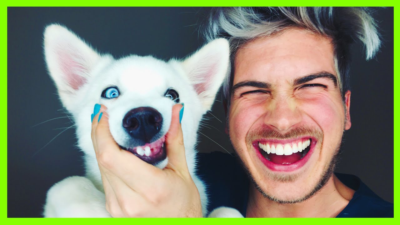 Puppy discovers its two front teeth for the first time