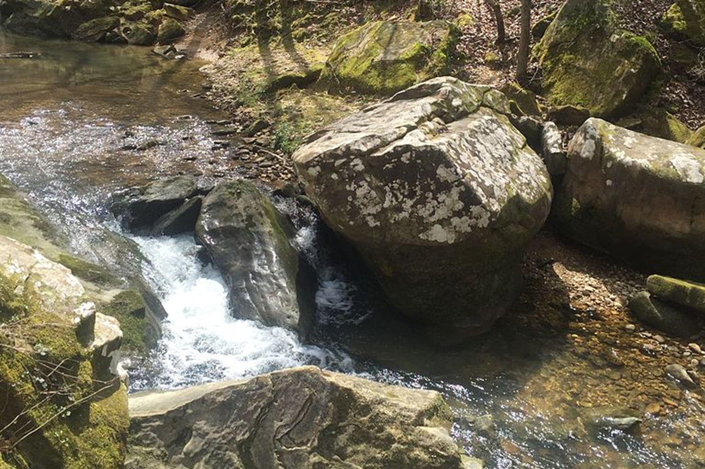 The dark reality of sunlight deprivation