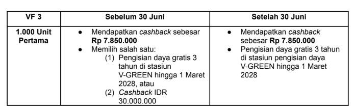 Resmi Hadirkan VF 3 di Indonesia, VinFast Berikan 3 Program Benefit ...