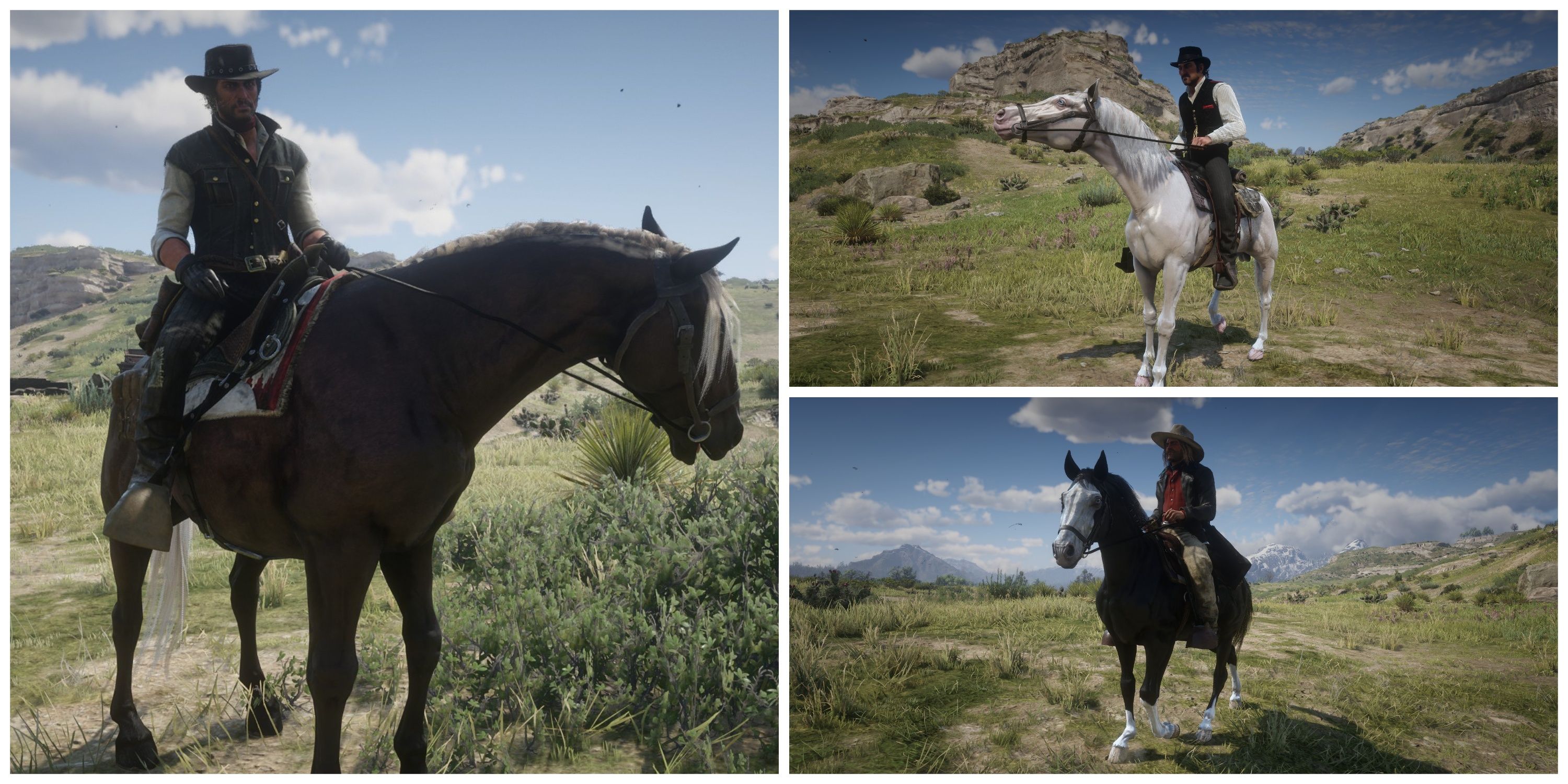 RDR2: Every Van der Linde Gang Horse, Ranked