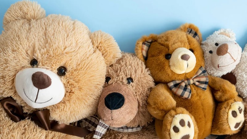 Birthday party drama: Eight kids build teddy bears only to hand them ...