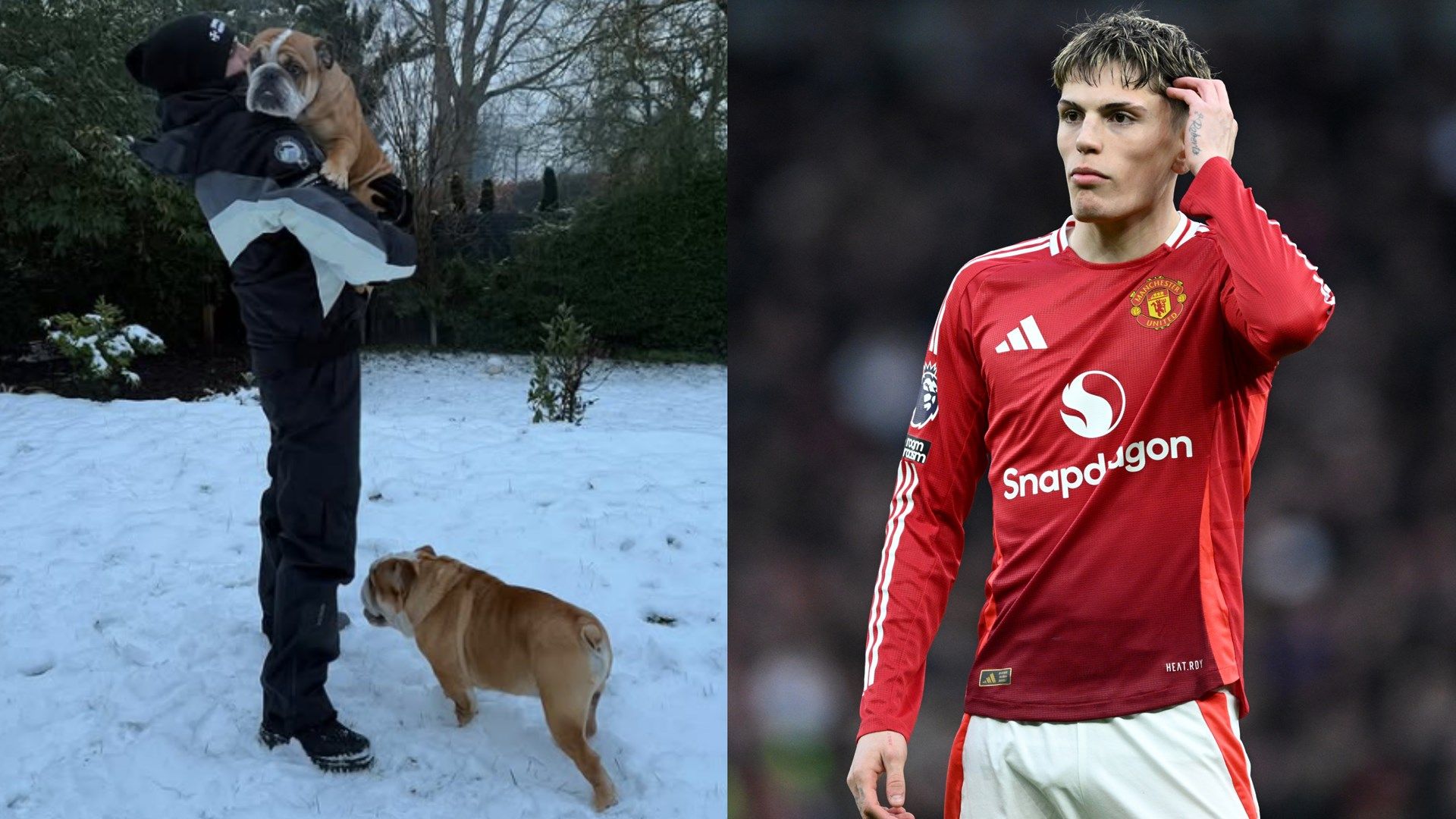 Alejandro Garnacho sees missing dogs returned as Man Utd star rewards ...